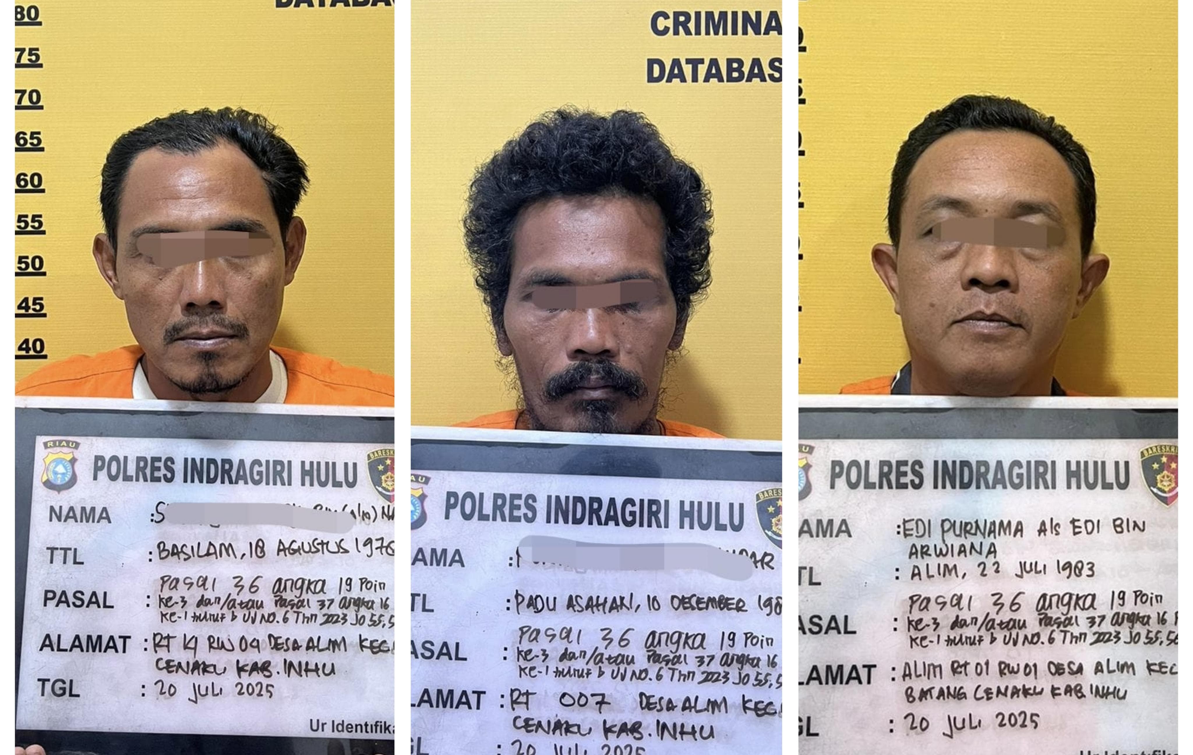 Kades Hingga Ketua RT di Batang Cenaku Jadi Tersangka: Alih Fungsi Lahan jadi Kebun Sawit ...